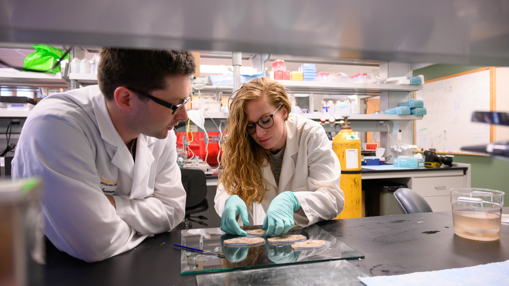 Requirements | MD Program - Carver College of Medicine | The University ...